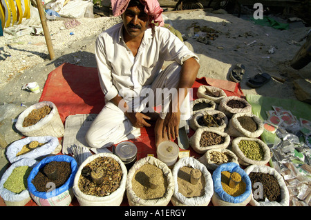 Typical Indian ground spices Stock Photo - Alamy