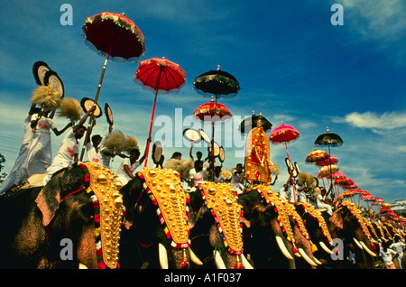 Decorated elephant on Pooram festival in Thrissur Trichur ; Kerala ...