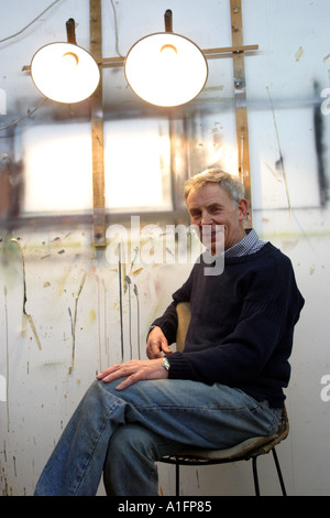 Artist John Salt in his studio Stock Photo - Alamy