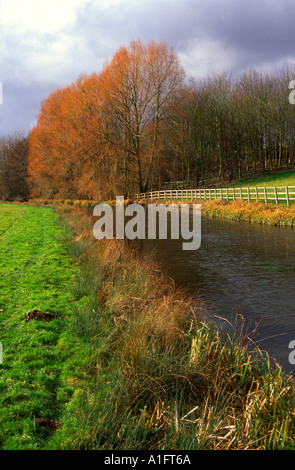 River Kennet near Axford Wiltshire England Stock Photo - Alamy