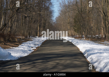 Empty asphalt road in snow covered spruce forest, beautiful winter ...