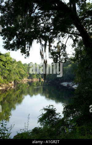 Suwannee River State Park, Florida limestone sink trail Stock Photo - Alamy