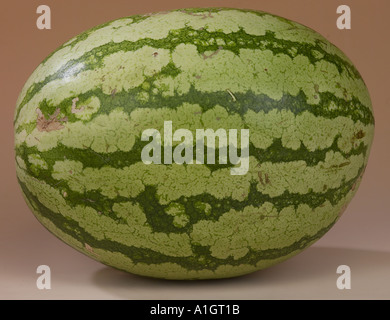 Watermelon on dark with back light. Macro with shallow depth of field ...