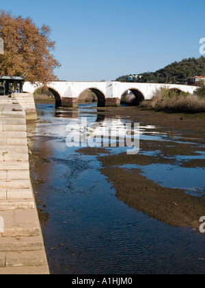 Roman bridge Ponte Romano over river Melezza, near Intragna, Centovalli ...