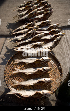 Drying Fish Display Macau Stock Photo - Alamy