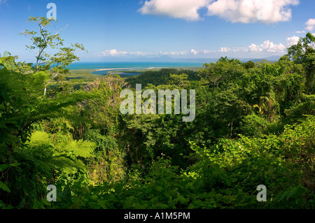 View from Alexandra Range Lookout, near Cape Tribulation, looking ...