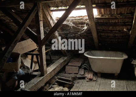 An attic or loft full of old junk and toys, UK Stock Photo - Alamy