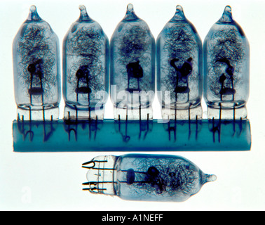 Old photo flash bulbs Stock Photo - Alamy
