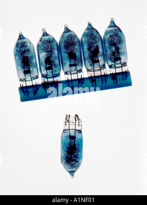 Old photo flash bulbs Stock Photo - Alamy