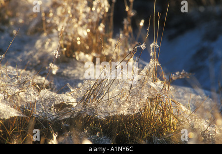 Thin film of broken ice left behind by retreating tide on edge on river ...