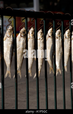 Drying Fish Display Macau Stock Photo - Alamy