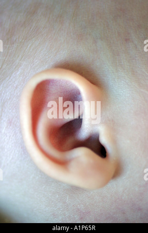 Detail of newborn baby ear Stock Photo - Alamy