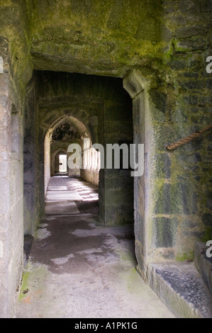 Cloister, Quin Abbey, Quin Friary, County Clare, Ireland, Europe Stock ...