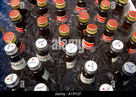 Beer chilling on ice Stock Photo - Alamy