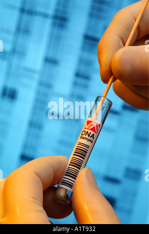 Science, csi and swab for dna evidence in crime scene car for ...