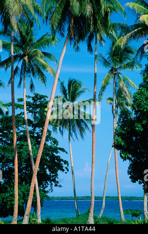 Ali Island Papua New Guinea Stock Photo - Alamy