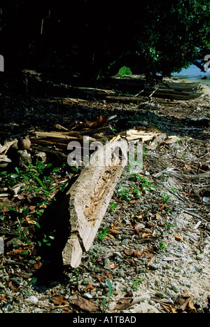 Ali Island Papua New Guinea Stock Photo - Alamy