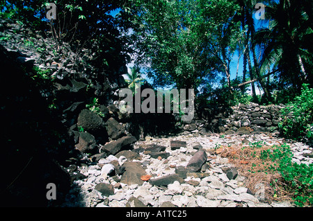 Lelu Ruins Kosrae Federated States of Micronesia Micronesia Stock Photo ...
