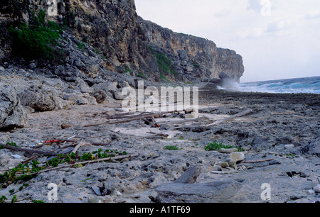 South side Cayman Brac, Cayman islands. Limestone cliffs and wave cut ...