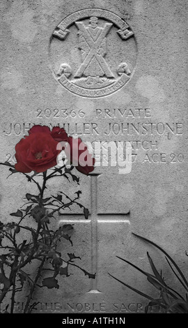 Red Rose In Front Of A Headstone Of A War Grave Of A Soldier That Died ...