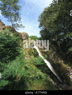 Linhope Spout waterfall in the Ingram Valley of Northumberland Stock ...