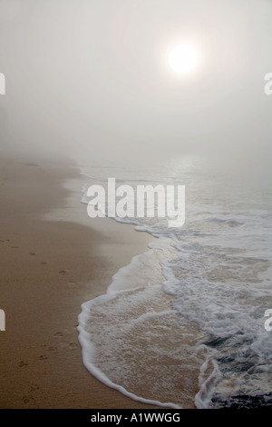Fog On The Beach Stock Photo - Alamy