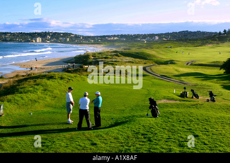 long reef golf course by the ocean on sydney's northern beaches ...