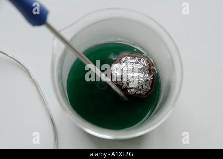 Digital sensor measuring heat release in exothermic exergonic chemical ...