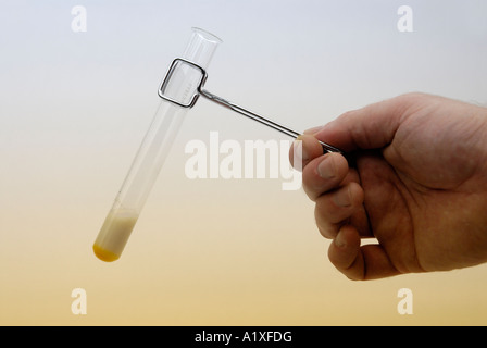 Benedict's test for sugars. Benedict's reagent is a solution of copper ...
