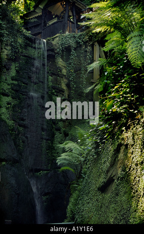 The shanklin chine Stock Photo - Alamy