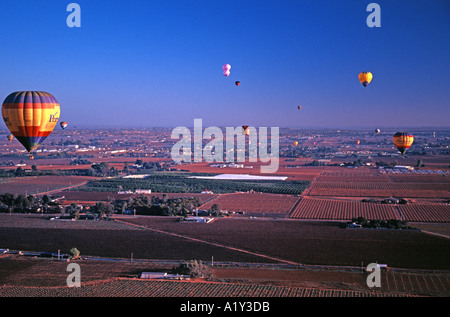 Fiesta balloons over Mildura, Australia Stock Photo - Alamy