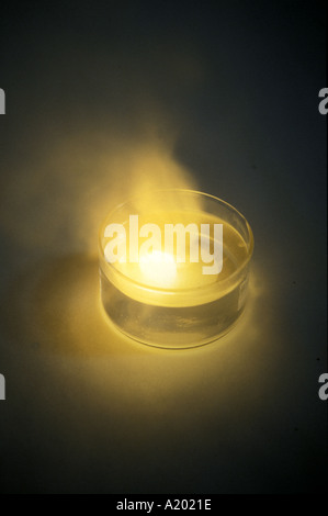 Sodium metal in glass bowl of red Litmus water producing sodium ...