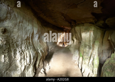 Box Canyon Cave, Kahurangi National Park, South Island, New Zealand ...