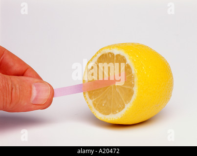 blue litmus paper turns red when held near to dilute sulphuric acid ...