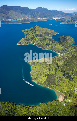 Torea Bay Queen Charlotte Sound Marlborough Sounds South Island New ...