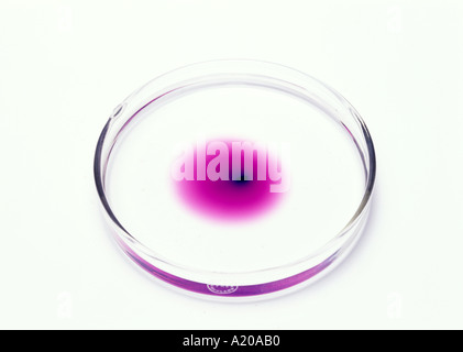 Potassium permanganate diffusion in water. Beaker containing potassium ...