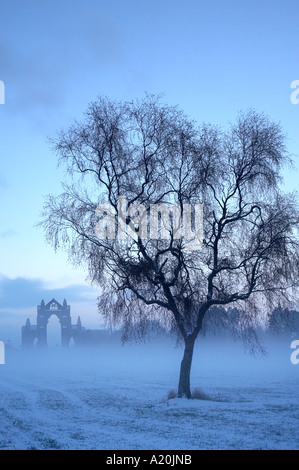 Winter snow and dawn mist at Gisborough Priory Guisborough Tees Valley ...