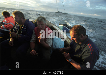 Men of Ness on SUla Sgeir annual gannet hunt Stock Photo - Alamy