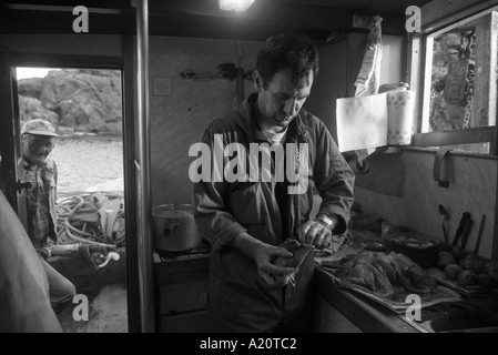 Men harvesting guga young gannets on Sula Sgeir rocky island Stock ...