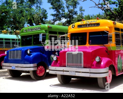 Custom painted buses Mexico Stock Photo - Alamy