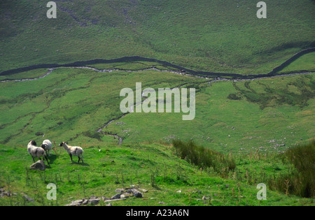 Glaciated valley misfit stream High Cup Nick northern Pennines Cumbria ...