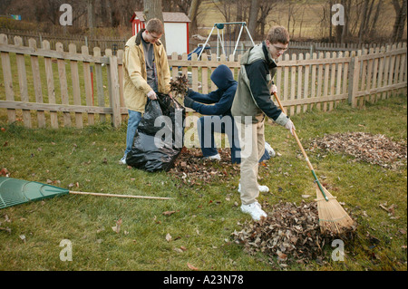 Boys doing yard work Stock Photo - Alamy