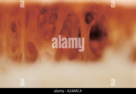 Over risen bread yeast flour Stock Photo - Alamy