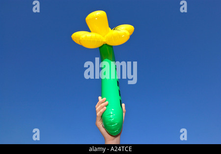 Welsh rugby fan holding inflatable yellow daffodil in Cardiff for a ...