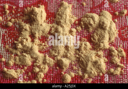 Uzara (Xysmalobium undulatum), root Stock Photo: 10414475 - Alamy