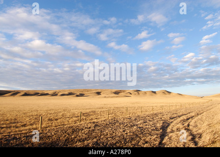 Standoff Reserve Blood Indians the largest native or indian reserve in ...