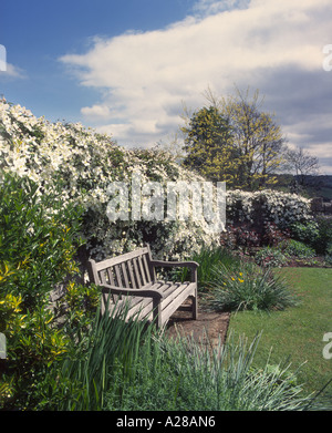 A wall covered in flowering Clematis Montana variety Elizabeth Stock ...