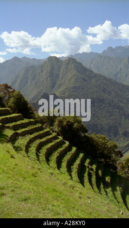 View from the stunning terraces at Winay Wayna on the Inca Trail en ...