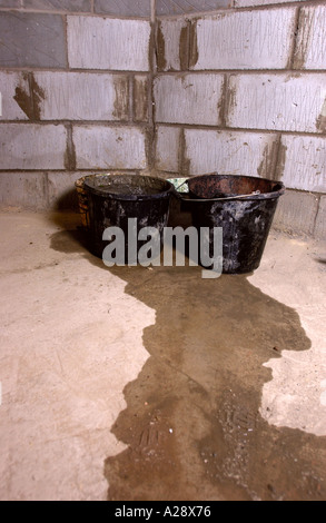 BUILDERS BUCKETS CATCHING RAIN WATER IN AN EXTENSION Stock Photo - Alamy