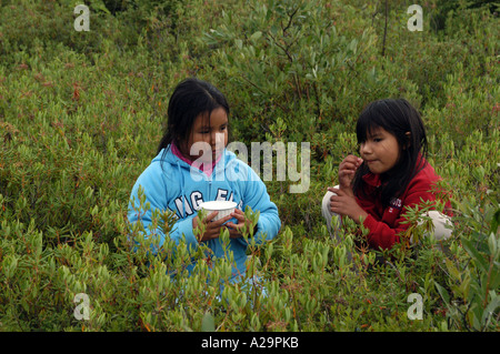 Cree Native Girls Northern Quebec next To James Bay Canada Stock Photo ...